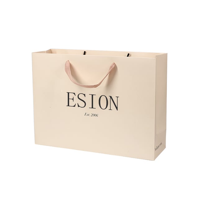 Paper Bag Packaging For Clothes Factory